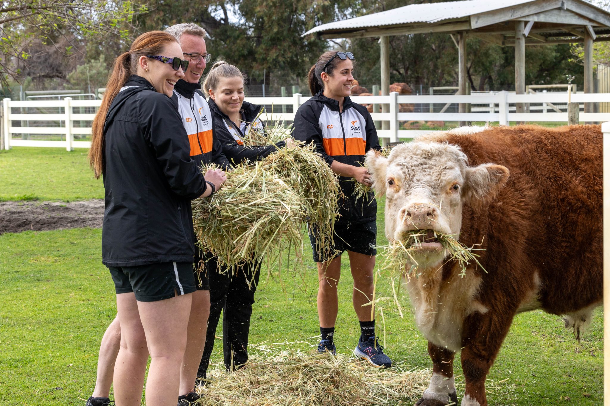SEDA Staff Visit Landsdale Farm for Team Building & Inclusion